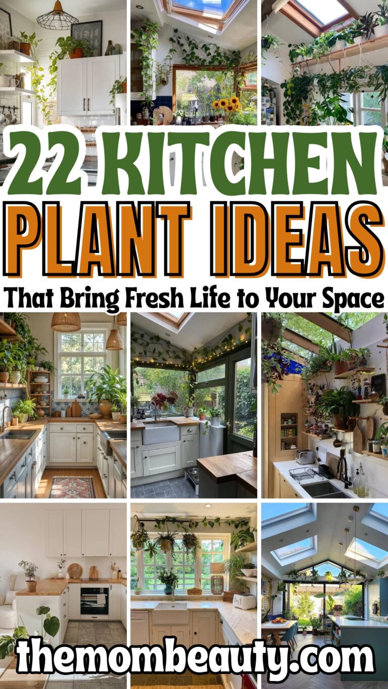 Kitchen Plants That Actually Thrive in There and Make the Whole Room ...